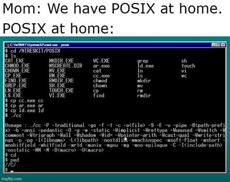 mom when can we get posix r linuxmemes