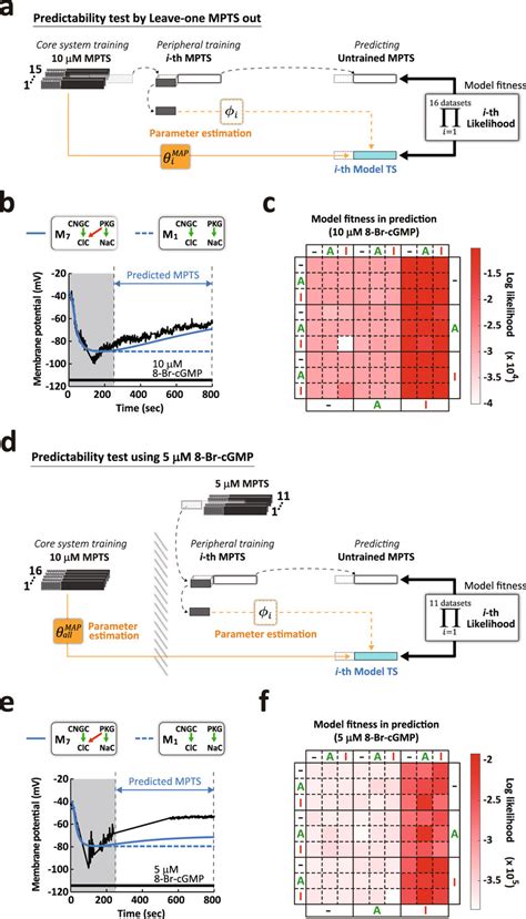 Model Predictability Of Untrained 8 Br Cgmp Induced Mpts A Schematic Download Scientific