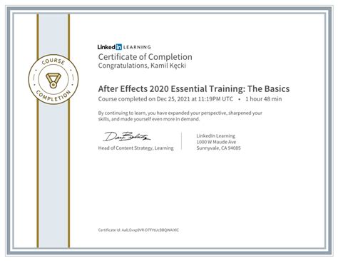 Kamil Kęcki On Linkedin Certificate Of Completion