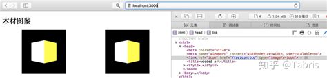 关于部分浏览器 localhost 域名下未正常显示 favicon 的问题 知乎
