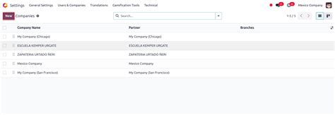 An Overview Of Accounting Localization For Argentina In Odoo 17