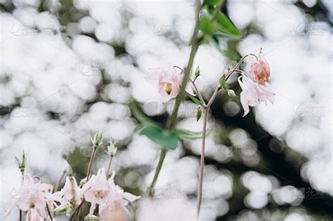 精致花钟，精挑细选