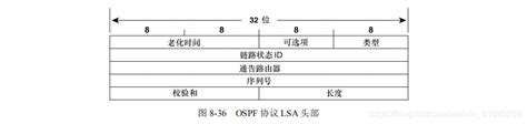 ospf数据包以及lsa格式整理 spa数据包格式 csdn博客