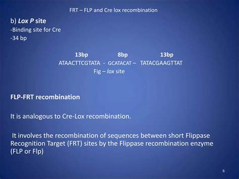 Recombinase Cre Lox And Flp Frt Ppt