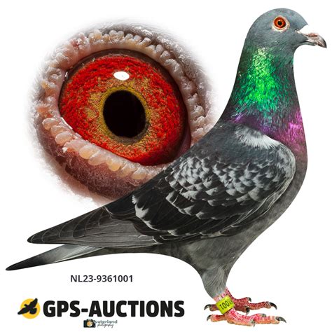 Ko Van Dommelen Part 2 Gps Auctions