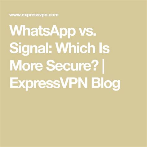 The Words Whatsapp Vs Signal Which Is More Secure Expressvpn Blog