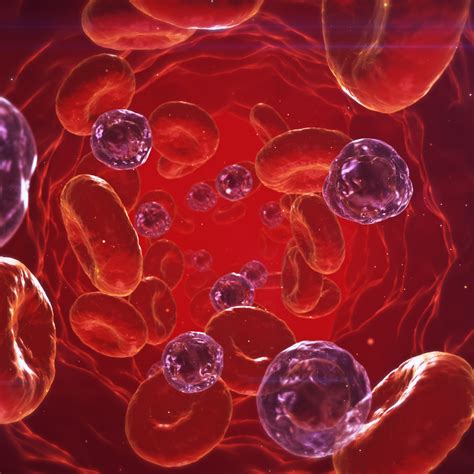 Hiv Infection Antibody Can Block B Cells Fighting Pathogens