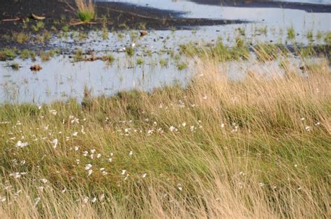 Interreg Nwe Buffer Project Beeodiversity