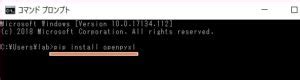 Pythonopenpyxl