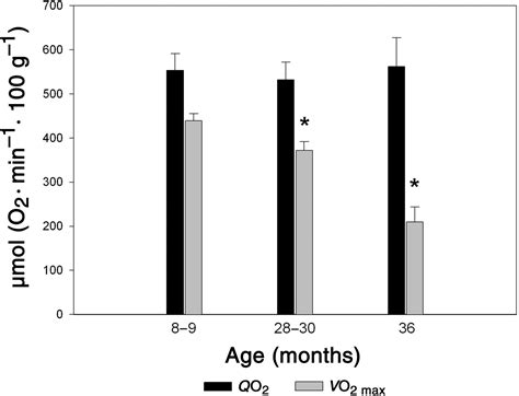 Importance Of Assessing Cardiorespiratory Fitness In