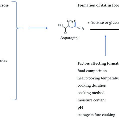 Sources Formation And Factors Affecting Formation Of Acrylamide Aa
