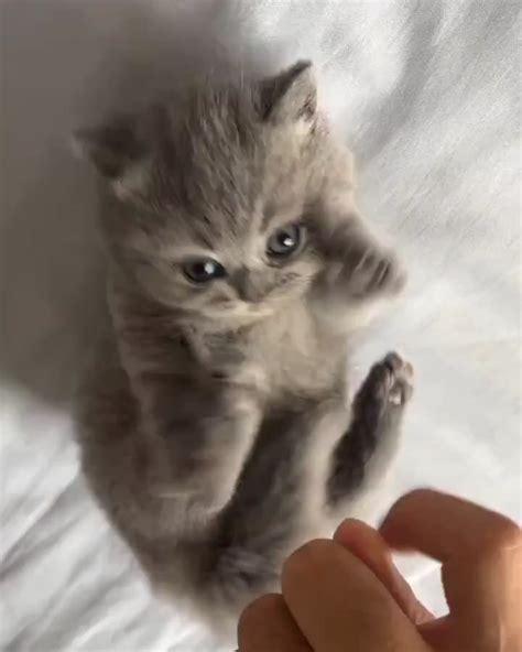 Small Cutie 😍😍😍 Ra