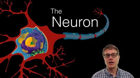 The Neuron YouTube