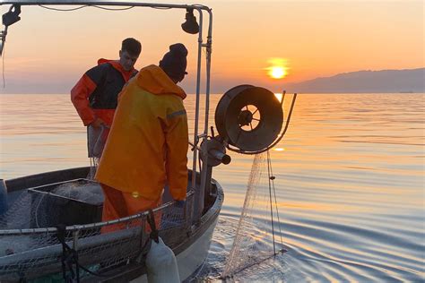 I Cacciatori Del Mare Larte Antica Della Pesca Raccontata Da Roberto
