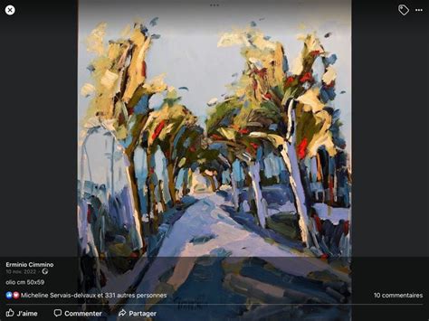 Pin Van Micheline Servais Delvaux Op Peindre Peintre Erminio Cimmino