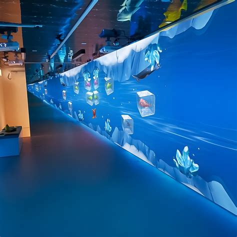 Immersive Exploration Classrooms Augmented Reality Interactive Wall Projection