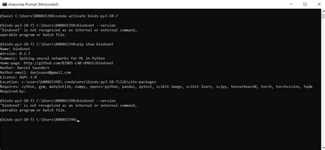 bindsnet is not recognized as an internal or external command