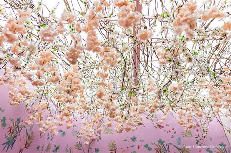 Vidhi Arora And Jonathan Elis W Goa Weddingsutra