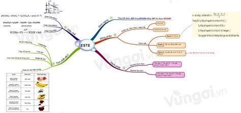 Hướng Dẫn Bí Quyết Làm Este Sơ đồ Tư Duy Hiệu Quả Cao