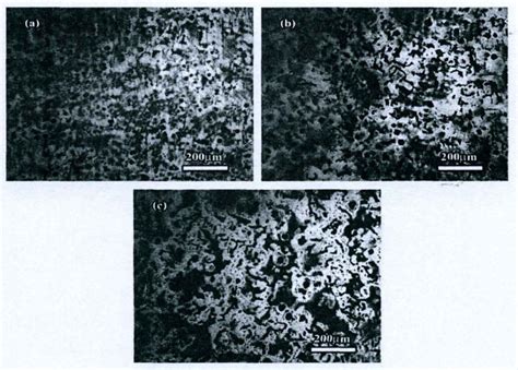 Effect Of Sample Wall Thickness On Primary Austenite Of Vermicular Graphite Cast Iron Zhy Casting