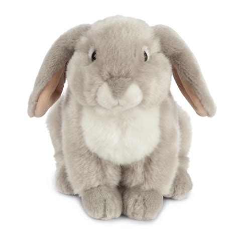 Living Nature Grey Dutch Lop Eared Rabbit Calm Store