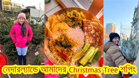 নেদারল্যান্ডের বাড়ির পাশের বাজার থেকে নিয়ে এলাম Christmas Tree