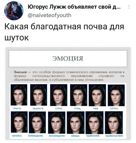 Иво Мартен | Пси | Мемы, Романтические картины, Веселые мемы