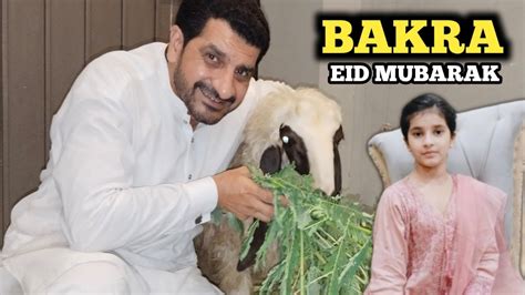 Bakra Eid Mubarak Janwar Le Ley Hain Eid Ul Adha 2024 Youtube