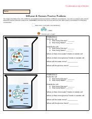 Analyzing Diffusion Osmosis Practice Problems Scenarios Course Hero