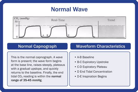 Capnograph Training Cards 5 2019 Pdf