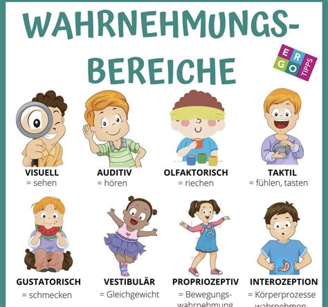 Pin Von Katharina Auf K I N D E R G A R T E N Entwicklung Kleinkind