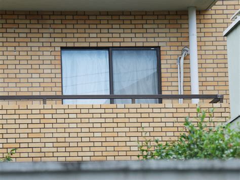 【速報】和光市長選で柴崎氏が再選｜埼玉新聞｜埼玉の最新ニュース・スポーツ・地域の話題