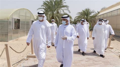 Uae Authorities Have Banned Cryptocurrency Mining On Agricultural Farms