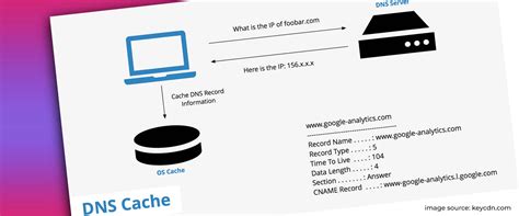 What Is DNS Cache And Why You Should Clear Them DigitalMunchers Affordable WordPress Premium