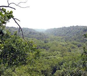 九峰山自然保护区图册 360百科