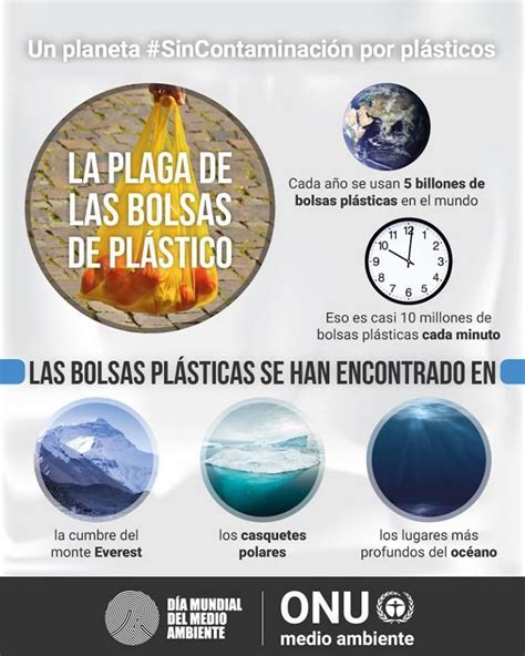 Alejandra Alday Posted On Linkedin