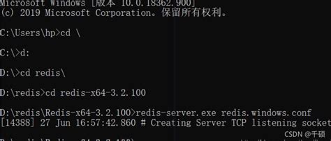 Redis闪退invalid Argument During Startup Unknown Conf File Csdn博客
