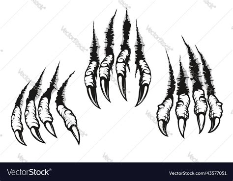Dragon Claw Marks Scratches Of Monster Wild Beast Vector Image