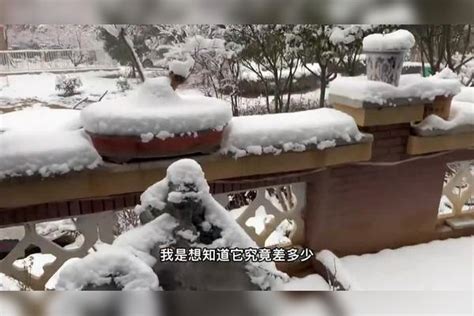 刚种完草的鱼缸就像刚剪完头发刚种鱼缸头发