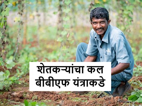 Kharif Sowing उत्पादन वाढत असल्याने बीबीएफ टोकन पेरणीकडे शेतकऱ्यांचा