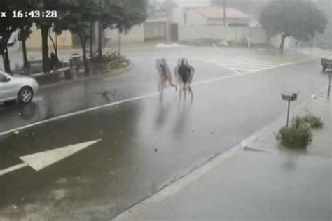 Mãe E Filha São Arrastadas E Morrem Afogadas Durante Temporal Em Sp