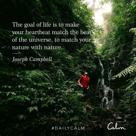 101 Motivational Quotes About Exercise From Famous Athletes Artofit