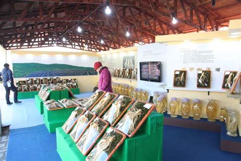 Icheon Ginseng Festival 이천인삼축제 Festivals Korea Travel And Tourism Information