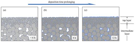 Recent Advances Of Polymeric Membranes In Tackling Plasticization And