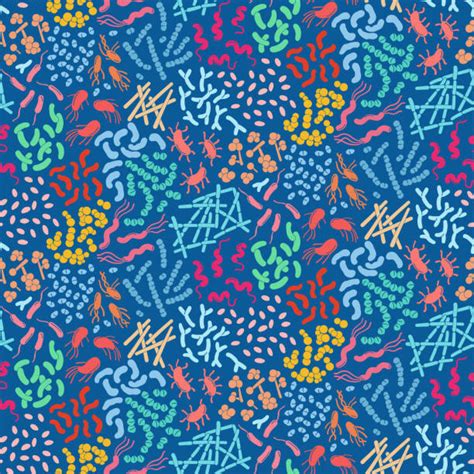 70 Shigella Bacteria Stock Illustrations Royalty Free Vector Graphics