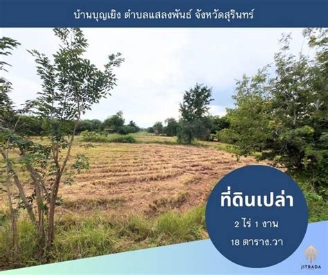 ขายที่ดิน พท 2 ไร่ 1งาน 18 ตร ว บ้านบุญเยิง ต แสลงพันธ์ เมื Ennxo