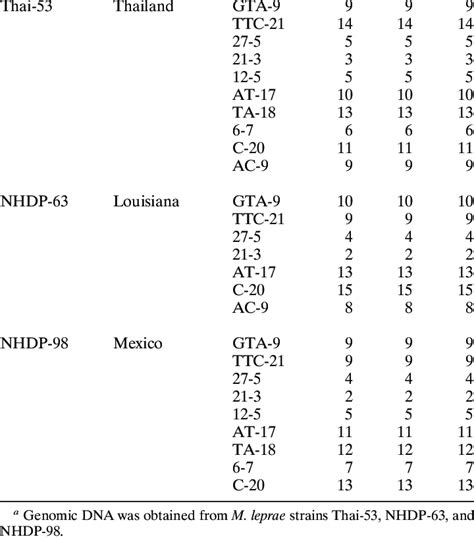 Analysis Of STR Locus Instability In Three Characterized M Leprae Download Table