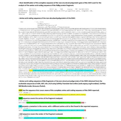 Amino Acid Coding Sequence Analysis Of The Fragments Of The Rdrp