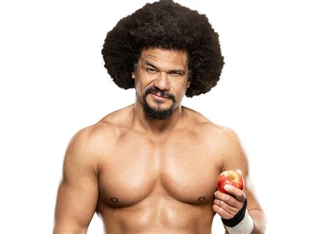 WWE 칼리토 프로필 사진 기타 스포츠 에펨코리아