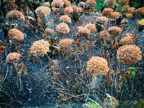 322 365 November 18 Kyle Johnston Flickr